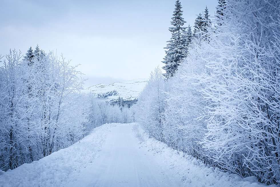 Vintern är i Åre - Sara Rönne