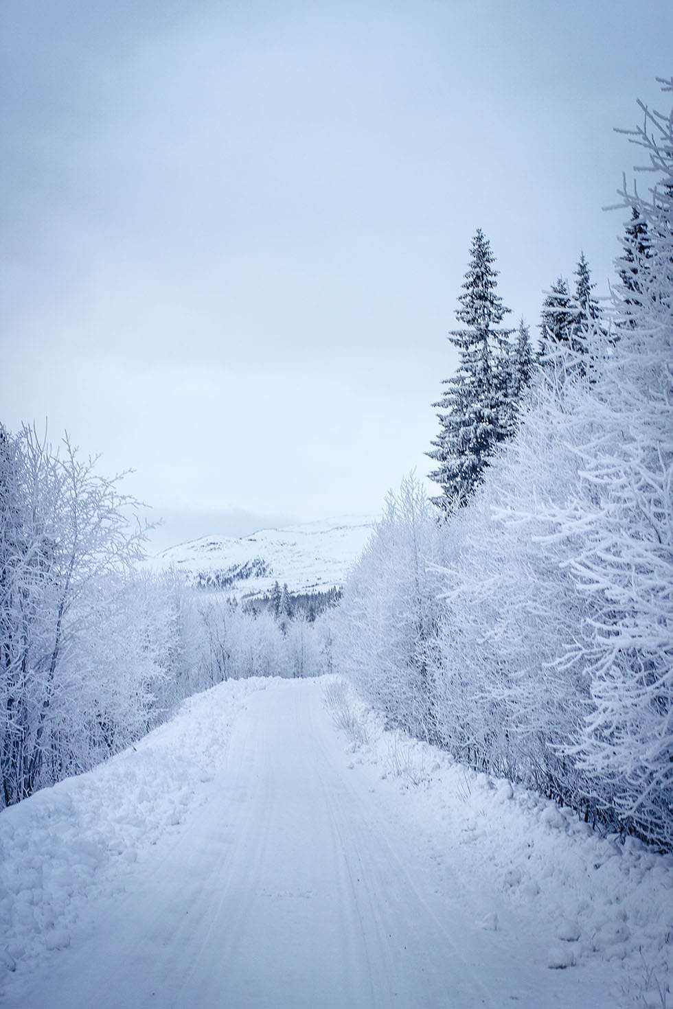 Vintern är i Åre - Sara Rönne