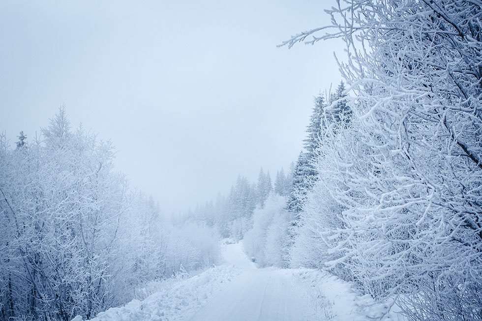 Vintern är i Åre - Sara Rönne