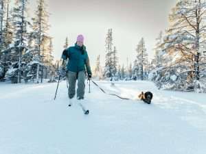 8 digitala fenomen att hålla koll på 2023 - Sara Rönne